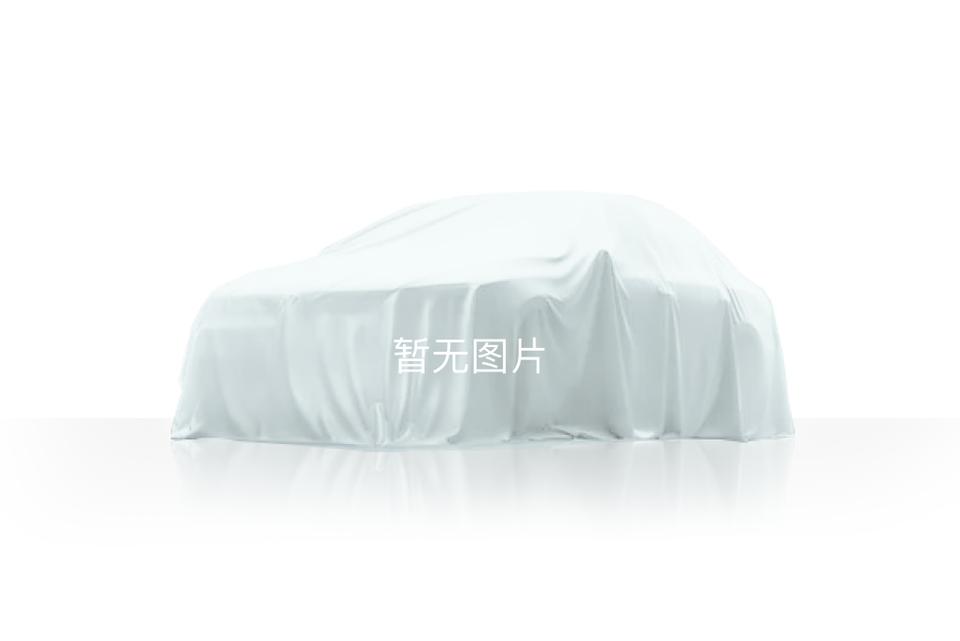 【极氪CS1E】极氪_极氪CS1E报价_极氪CS1E图片_懂车帝